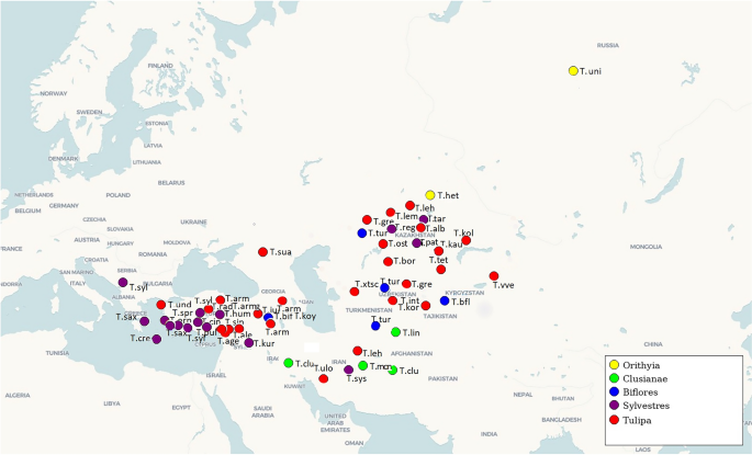 Phylogeny and infrageneric classification of tulips | Plant Systematics ...