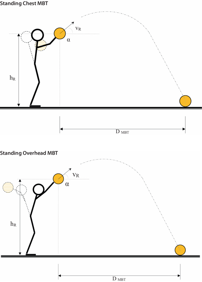 Model Calculation of the Influence of Body Height on Performance in ...