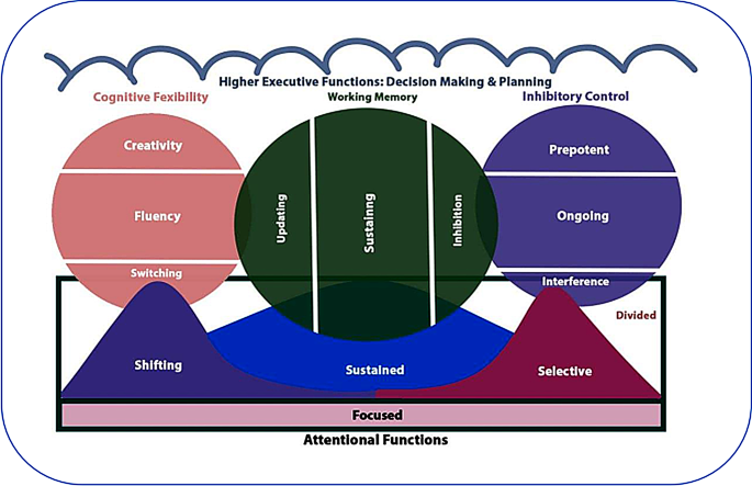 Exploring transferability in psychiatric interventions: a conceptual ...