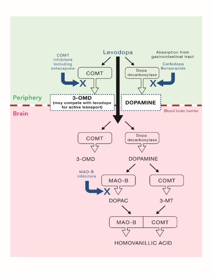COMT inhibition with entacapone for patients with Parkinson’s disease ...