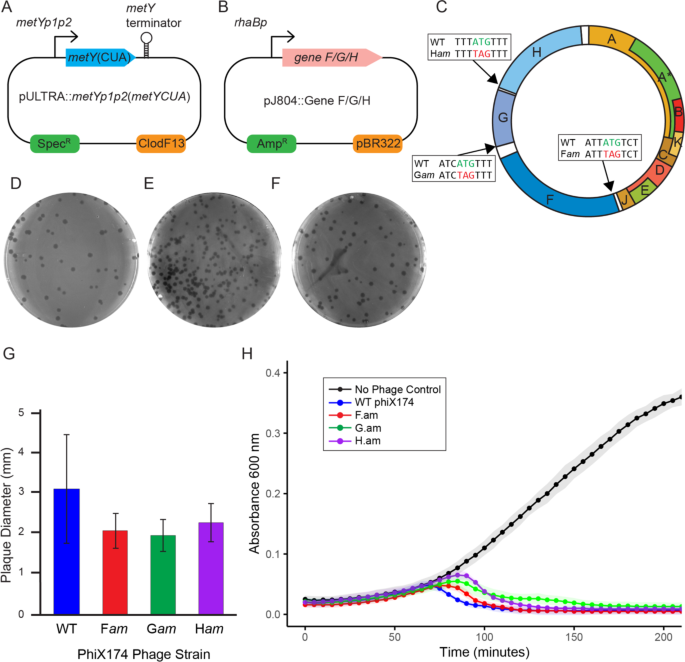 Designing a simple and efficient phage biocontainment system using the ...