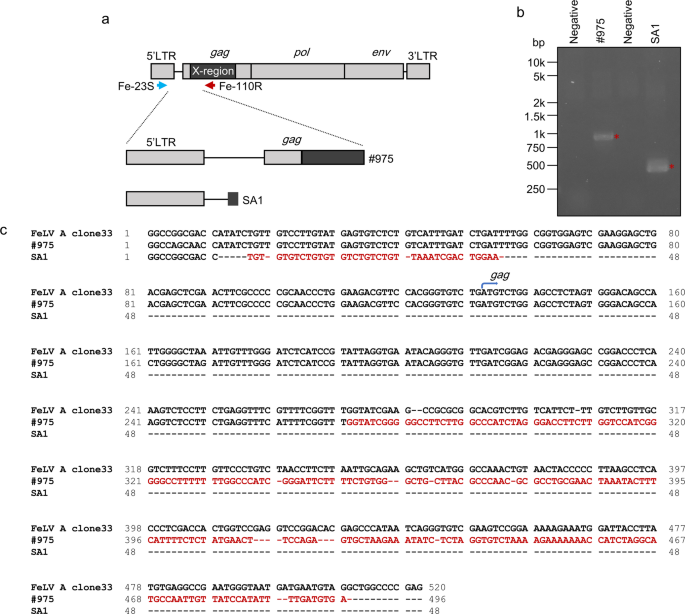 Feline leukaemia virus subgrouping using a viral interference assay ...