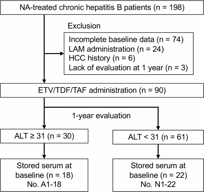 Association between deletions in the preS1/2 region of the hepatitis B ...