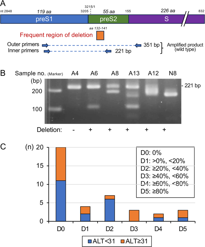 Association between deletions in the preS1/2 region of the hepatitis B ...