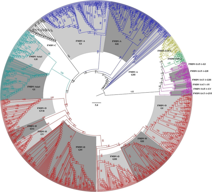 Recombination hotspots and genetic variability in foot-and-mouth ...