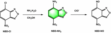 An NBD–NH 2 fluorescent probe for bioimaging: existence of a specific ...