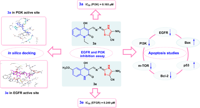 New thiazolo-quinolone hybrids as EGFR and/or PI3K inhibitors and as apoptosis inducers via ...