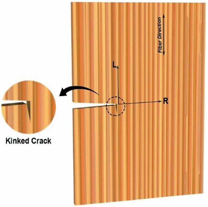 Non-local stress approach in conjunction with reinforcement isotropic ...