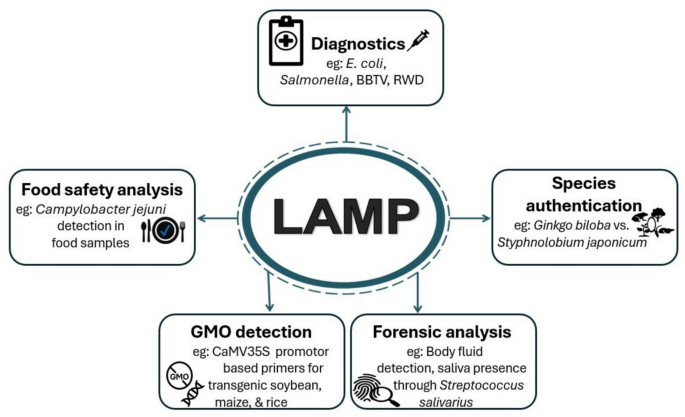 Shedding light on deception: LAMP as a tool for detecting adulterants in herbal medicine ...
