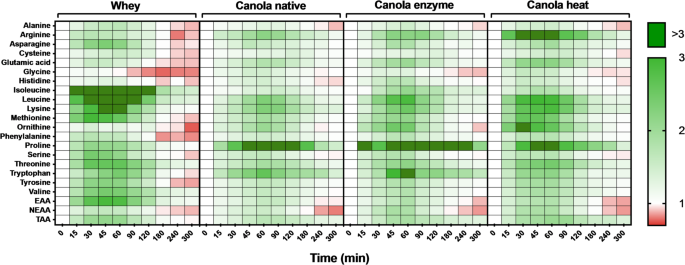 Evaluation of processing of canola protein isolate on postprandial ...