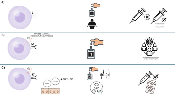 Decoding incretin resistance: a mechanistic framework to reclassify ...