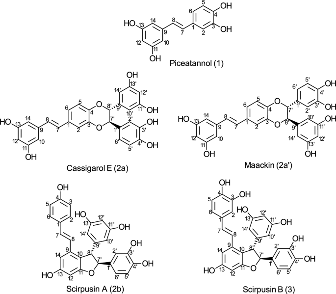 Seedy bananas contain stilbenes that inhibit α-glucosidase and ...