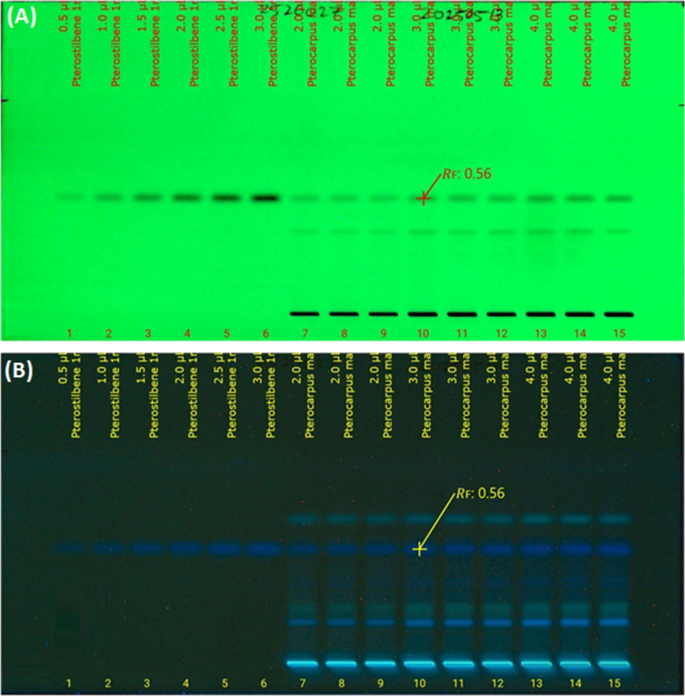 Quantification of pterostilbene in Pterocarpus marsupium heartwood ...