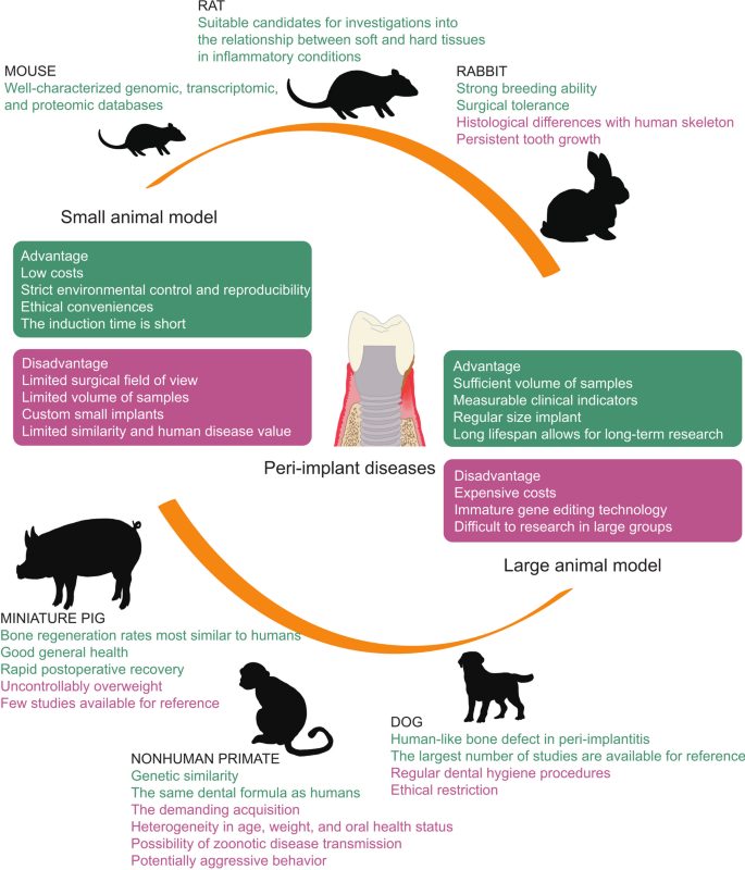 Experimental models for peri-implant diseases: a narrative review ...