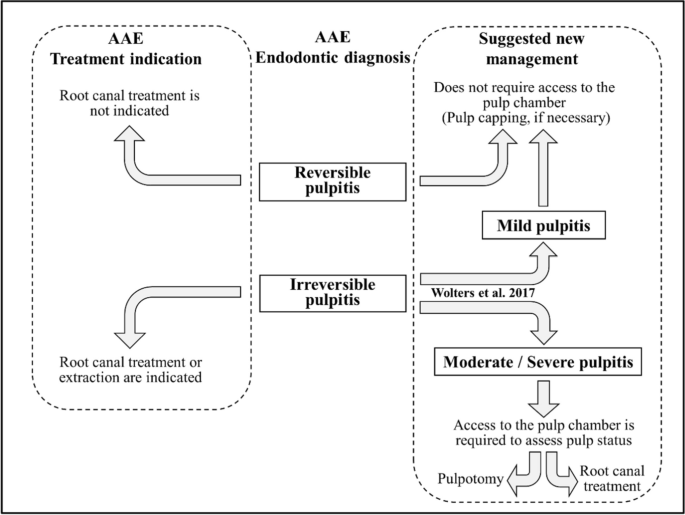 Elective full pulpotomy in mature permanent teeth diagnosed with ...