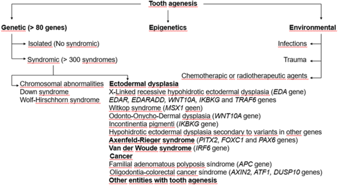 Main genetic entities associated with tooth agenesis | Clinical Oral ...
