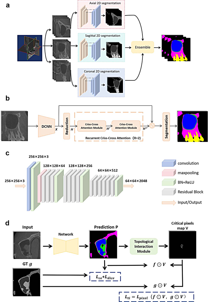 A platform combining automatic segmentation and automatic measurement ...