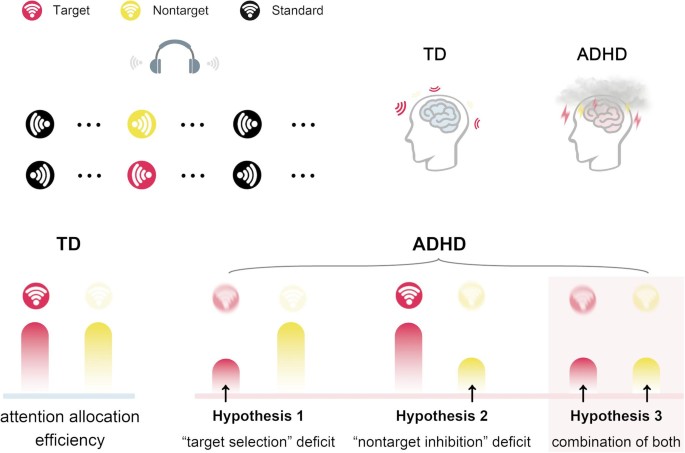 Dual deficits in auditory selective attention in children with ...