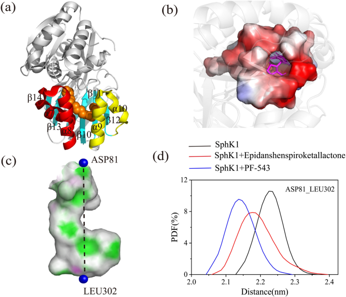 Investigate the potential inhibitors of sphingosine kinase 1 (SphK1 ...