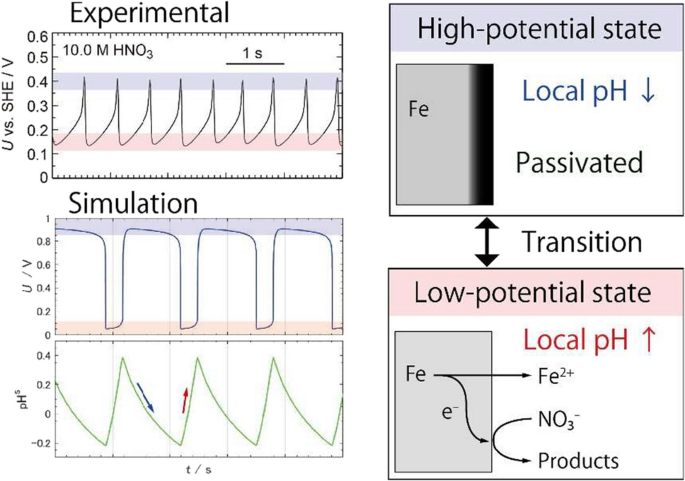 Mechanistic insights into corrosion potential oscillations of iron ...