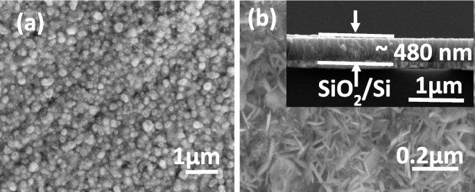 Tin dioxide (SnO2) thin films as anodes for sodium-ion thin film ...