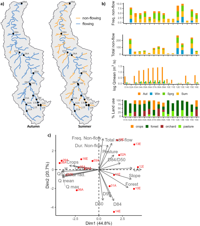 Dynamics of Organic Matter Transport, Storage, and Processing in a Non ...