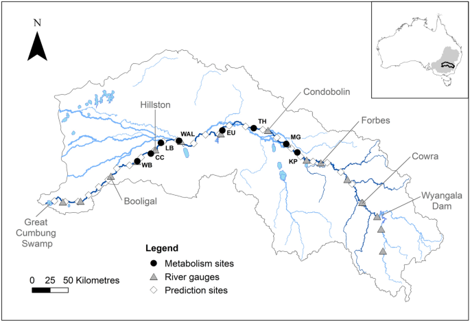 Season and Flow Drive Productivity of a Regulated River | Ecosystems