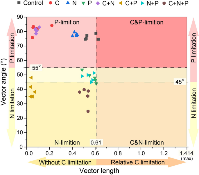 Enzymatic Stoichiometry and Vector Characteristics Can Indicate ...