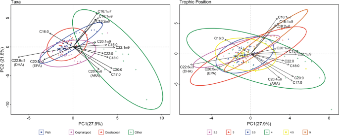 Benthopelagic Deep-Sea Food Webs Along a Latitudinal Gradient in the ...