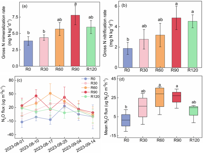 Legacy Effects of Long-Term Nitrogen Addition Sustain Elevated ...