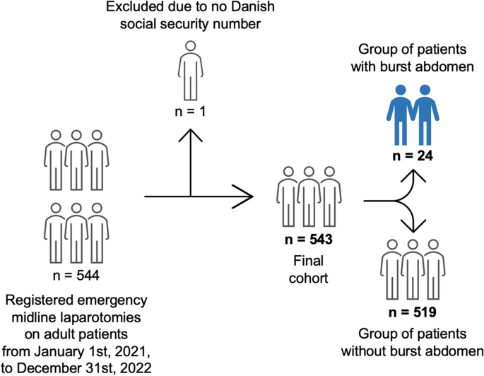 The clinical consequences of burst abdomen after emergency midline ...