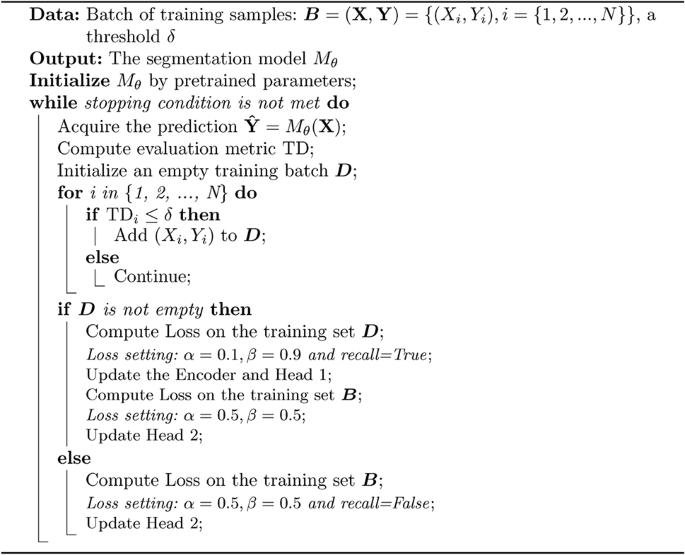 Multiscope topology learning with conditional updating for airway segmentation | Pattern ...
