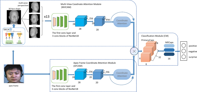 Dual-stream network with coordinate attention for multi-view micro-expression recognition using ...