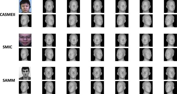 Dual-stream network with coordinate attention for multi-view micro-expression recognition using ...