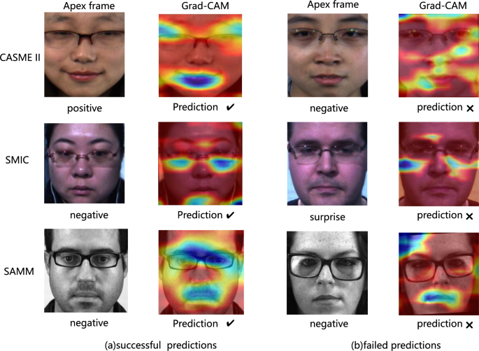 Dual-stream network with coordinate attention for multi-view micro-expression recognition using ...