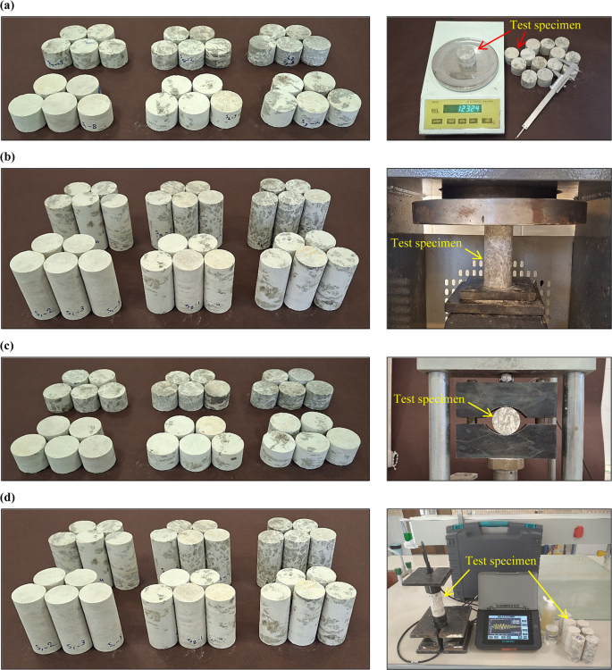 Effect of organic carbon on the physico-mechanical characteristics and ...