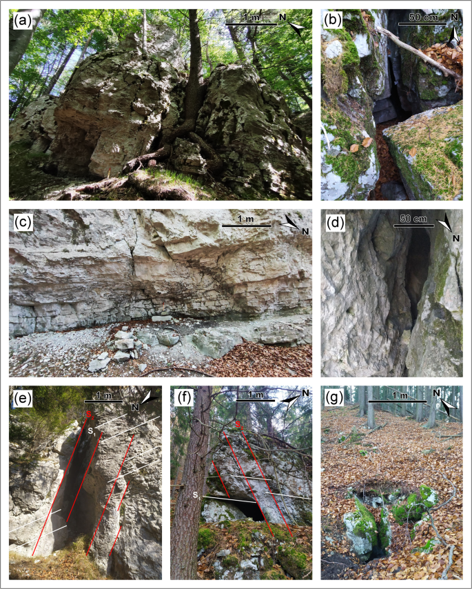 From rock mass creep to deep-seated landslides: numerical modeling of ...