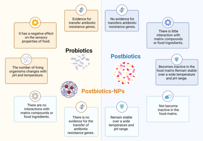 Postbiotic nanoparticles (postbiotics-NPs): a novel strategy for ...