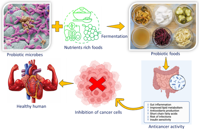 Harnessing probiotic foods: managing cancer through gut health | Food ...