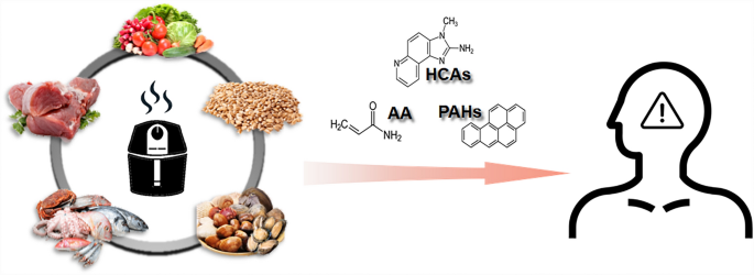 Effect of air-frying on formation and correlations of polycyclic ...