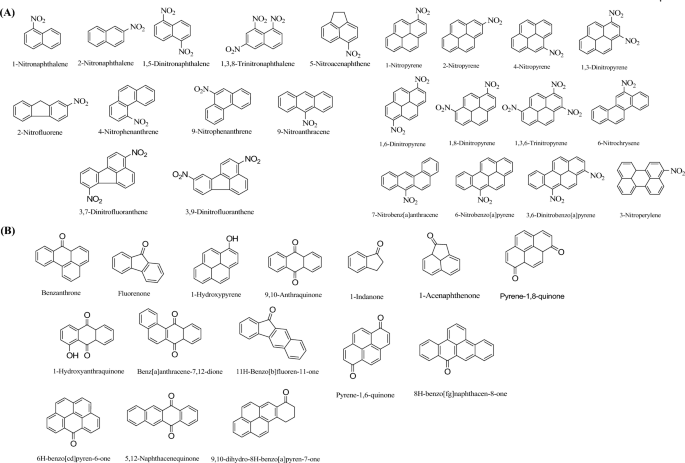 A review of food contamination with nitrated and oxygenated polycyclic ...