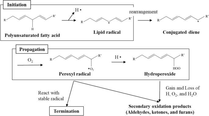 Critical overview of mass spectrometry-based lipidomics approach for ...