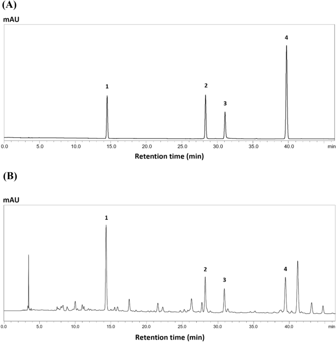 Efficacy of a standardized extract (HemoHIM G) from Angelica sinensis ...