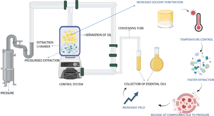 Sustainable techniques for extracting essential oils from spices and ...