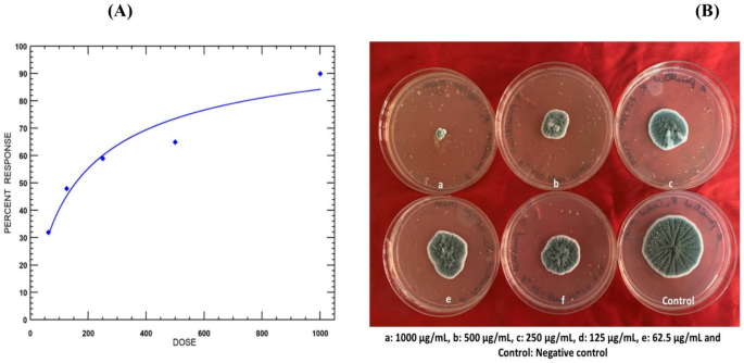 Unveiling bioactive components of Gymnema sylvestre for antimycotic ...