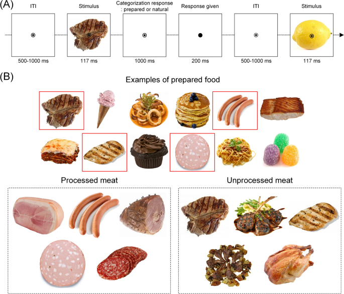 Processing level of meat modulates functional brain network ...