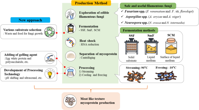 A comprehensive review on mycoprotein-based meat analog production ...