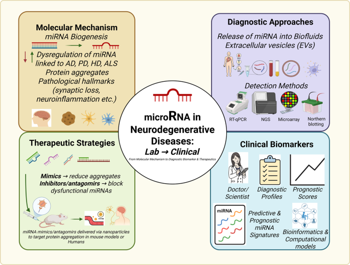 MicroRNAs in neurodegenerative diseases: from molecular mechanisms to ...