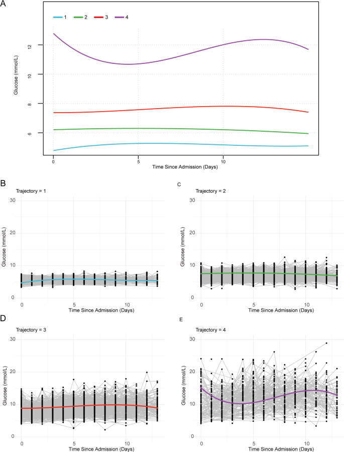 Group-based trajectory modeling identifies distinct glycemic patterns predictive of mortality in ...