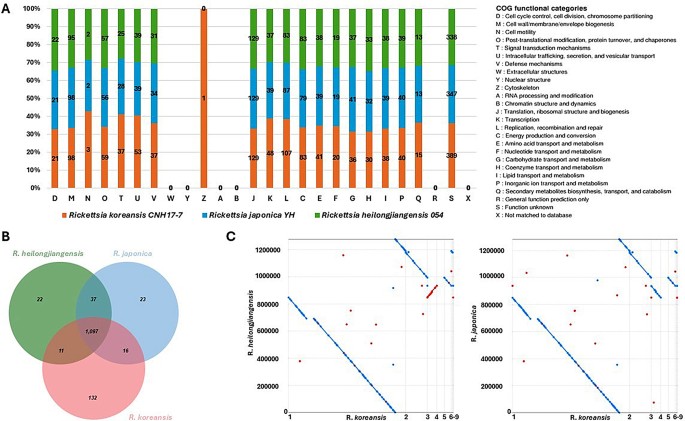 Whole genome sequence and comparative genomic analysis of novel ...